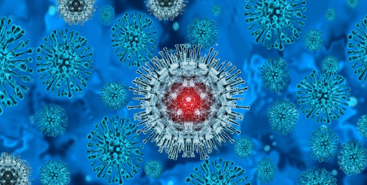 Monkeypox: Penyebab, Penyebaran, dan Cara Mengatasinya
